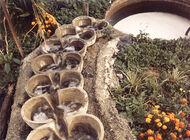 Unsere verschiedenen Flowforms - Flowforms